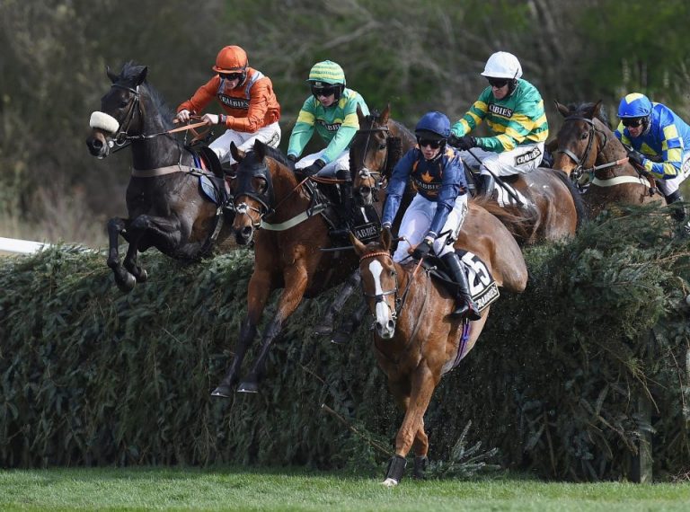 A quick look at the most famous horses from 2017